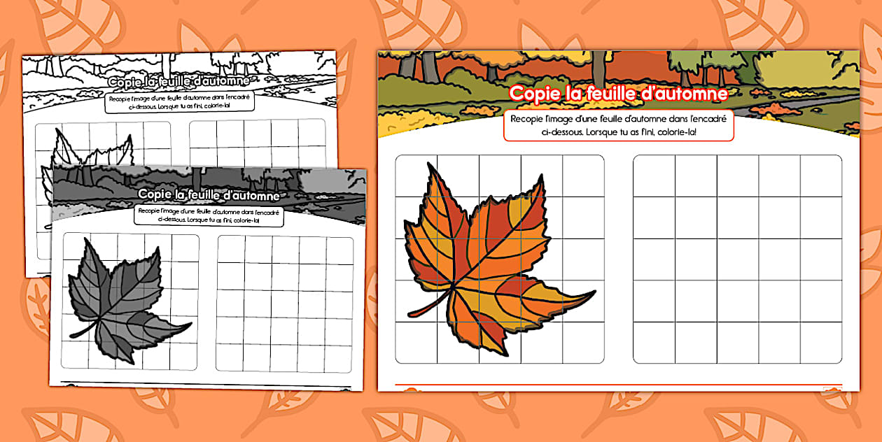 Feuille d'activité : Copier la feuille d'automne - Twinkl