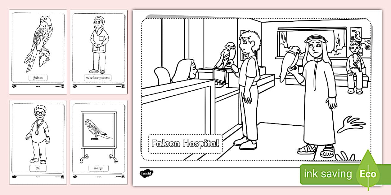 Falcon Hospital Role Play Colouring Sheets (teacher made)