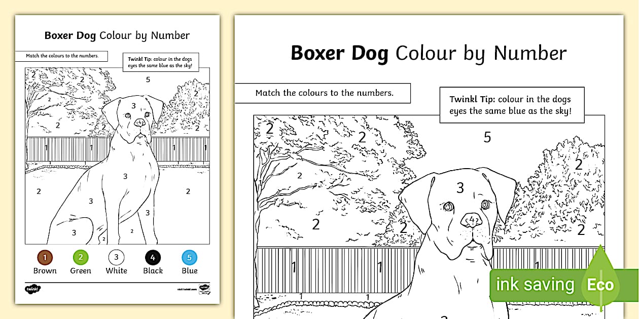 Boxer Dog Colour by Number (teacher made) - Twinkl