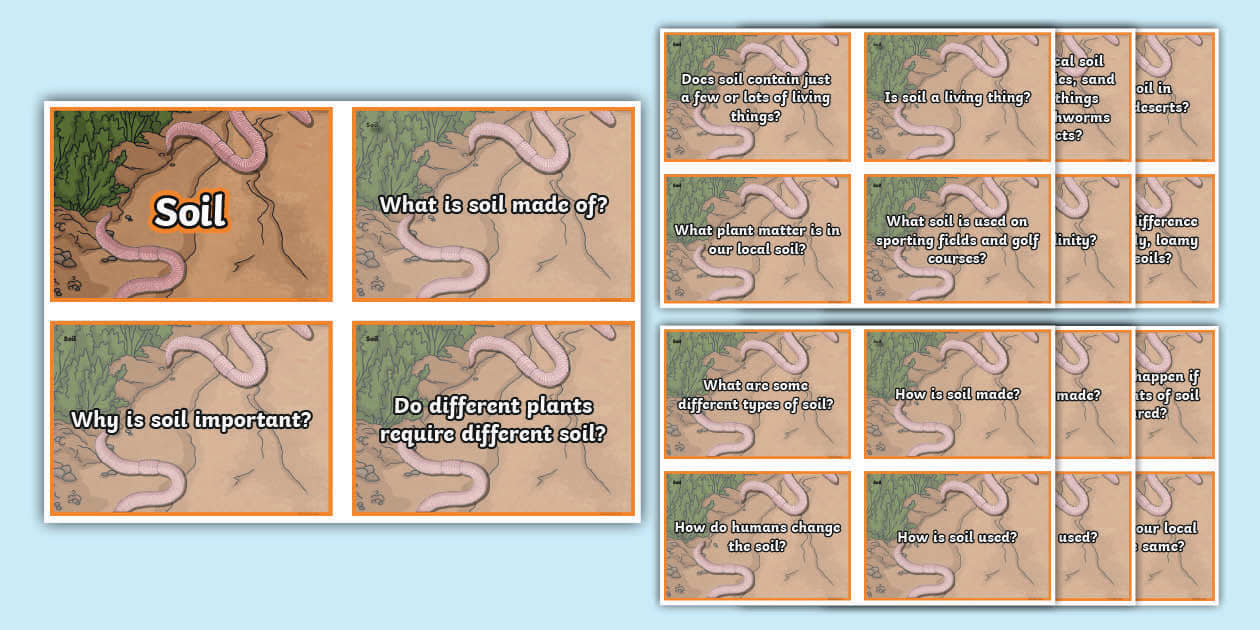 Soil Science Discussion Cards (Teacher-Made) - Twinkl