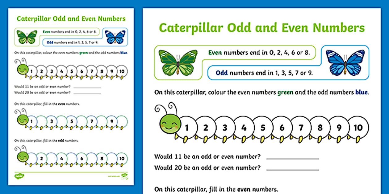 Editable Caterpillars Odd and Even Numbers Worksheet