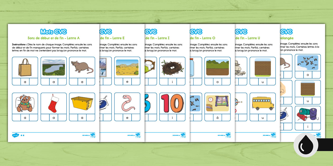 CVC Words Beginning and Ending Sounds Activity Pack French