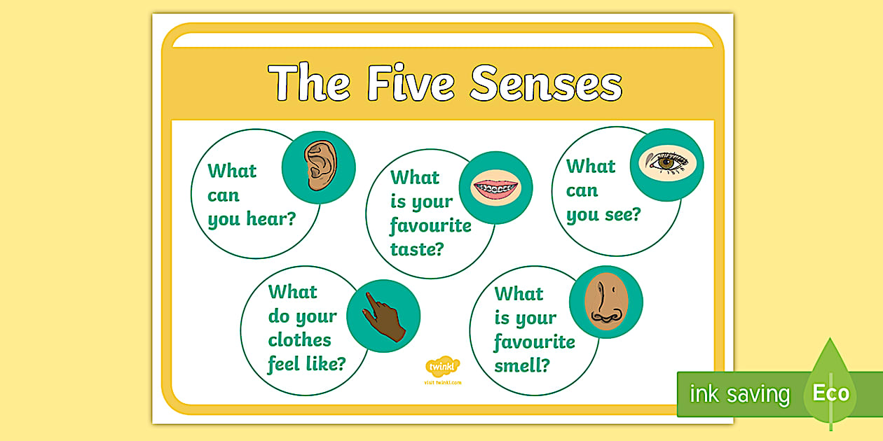 👉 The Five Senses Questions A4 Display Poster - Twinkl
