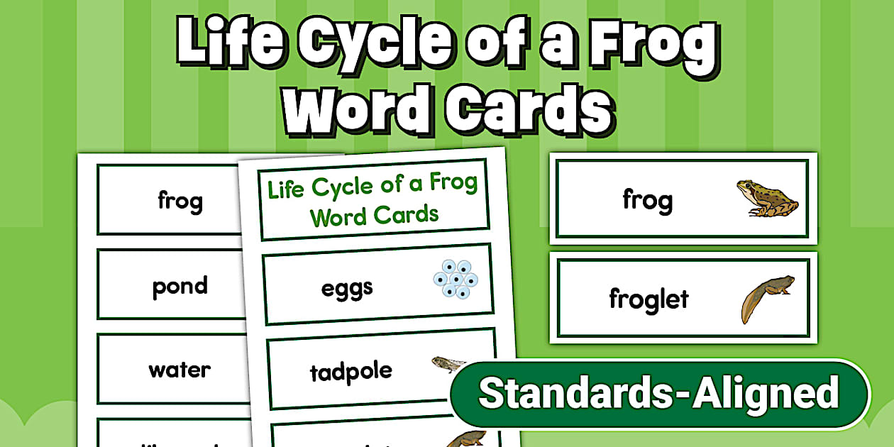Life Cycle of a Frog Word Cards