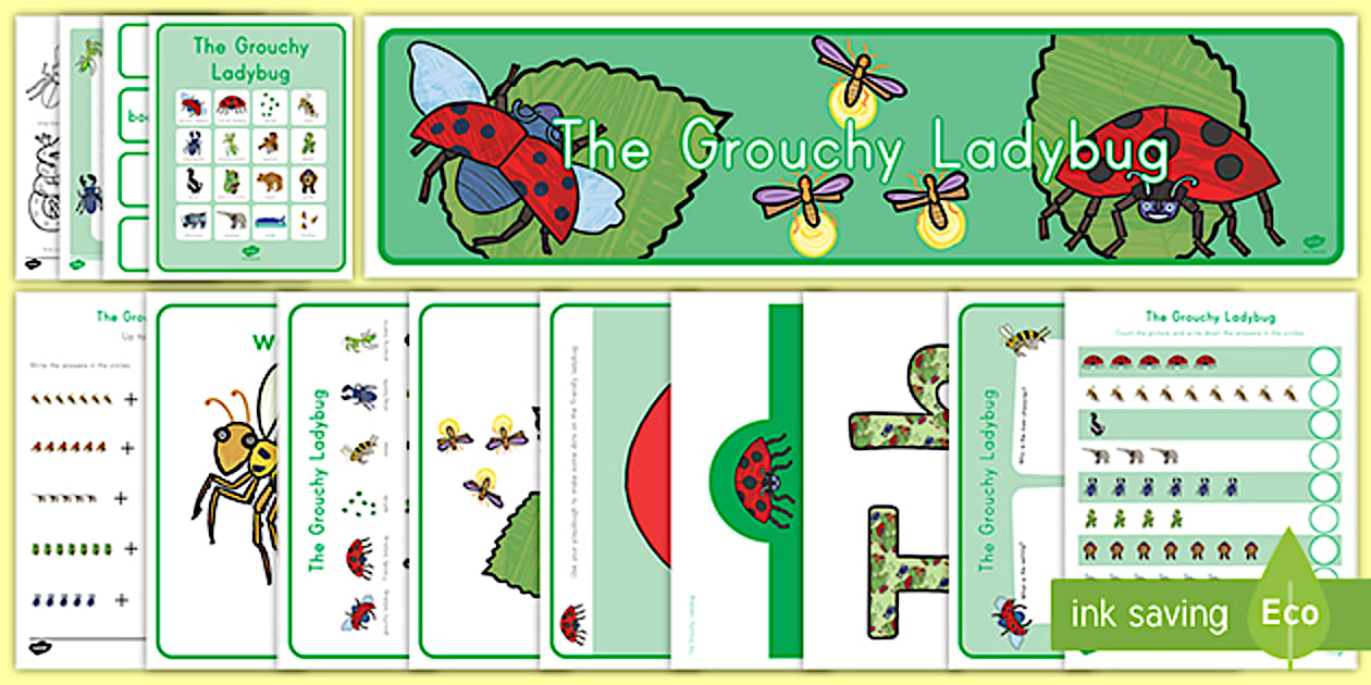 The Grouchy Ladybug Activity Pack (Teacher-Made) - Twinkl