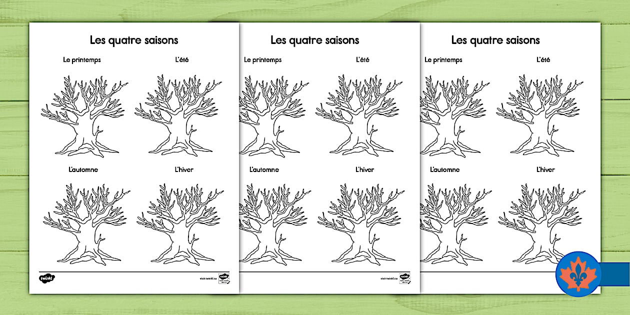 Four Seasons Tree Drawing Activity French - Twinkl