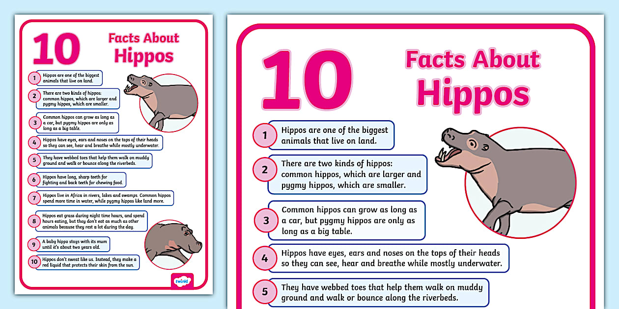 10 Facts About Hippos Display Poster (teacher made) - Twinkl