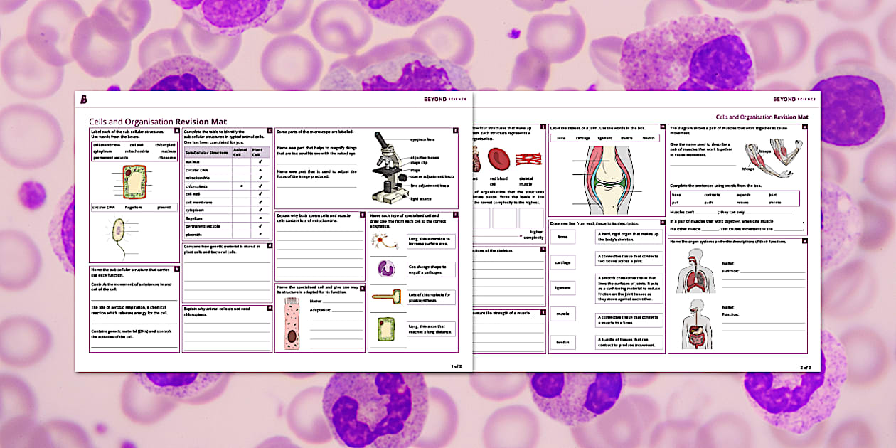 Cells and Organisation Revision Mat | Beyond (teacher made)