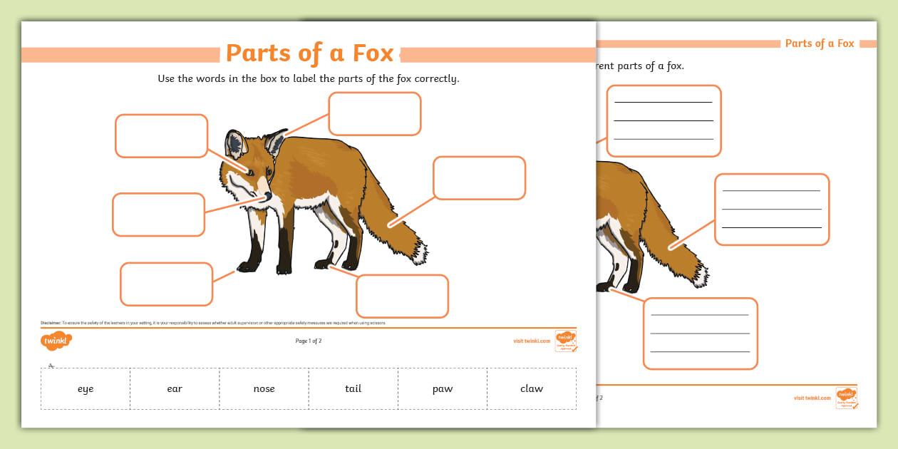 Parts of a Fox Labelling Activity (teacher made) - Twinkl