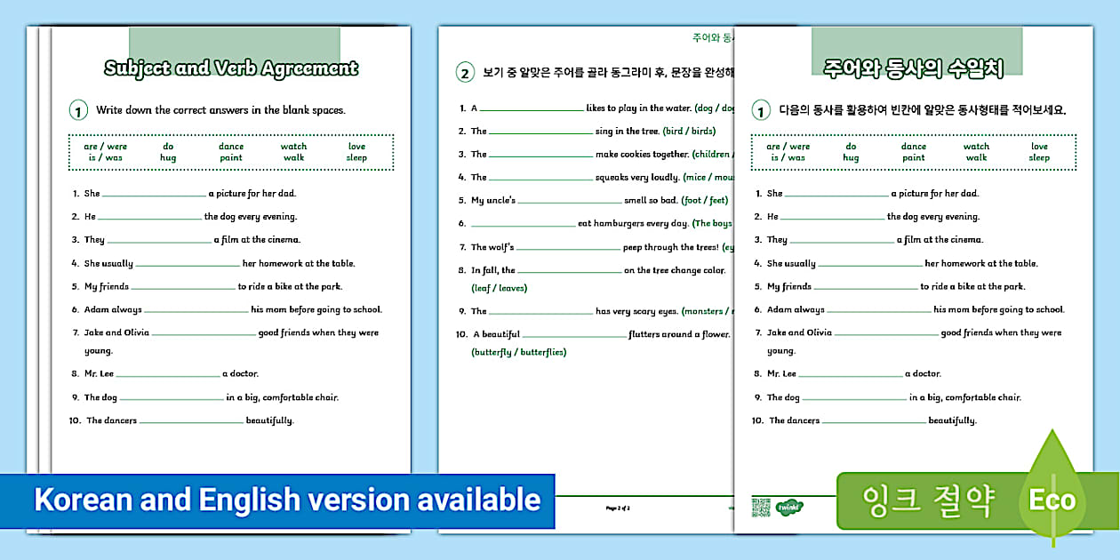 주어와 동사의 수일치: 활동지 Subject Verb Agreement: Worksheet
