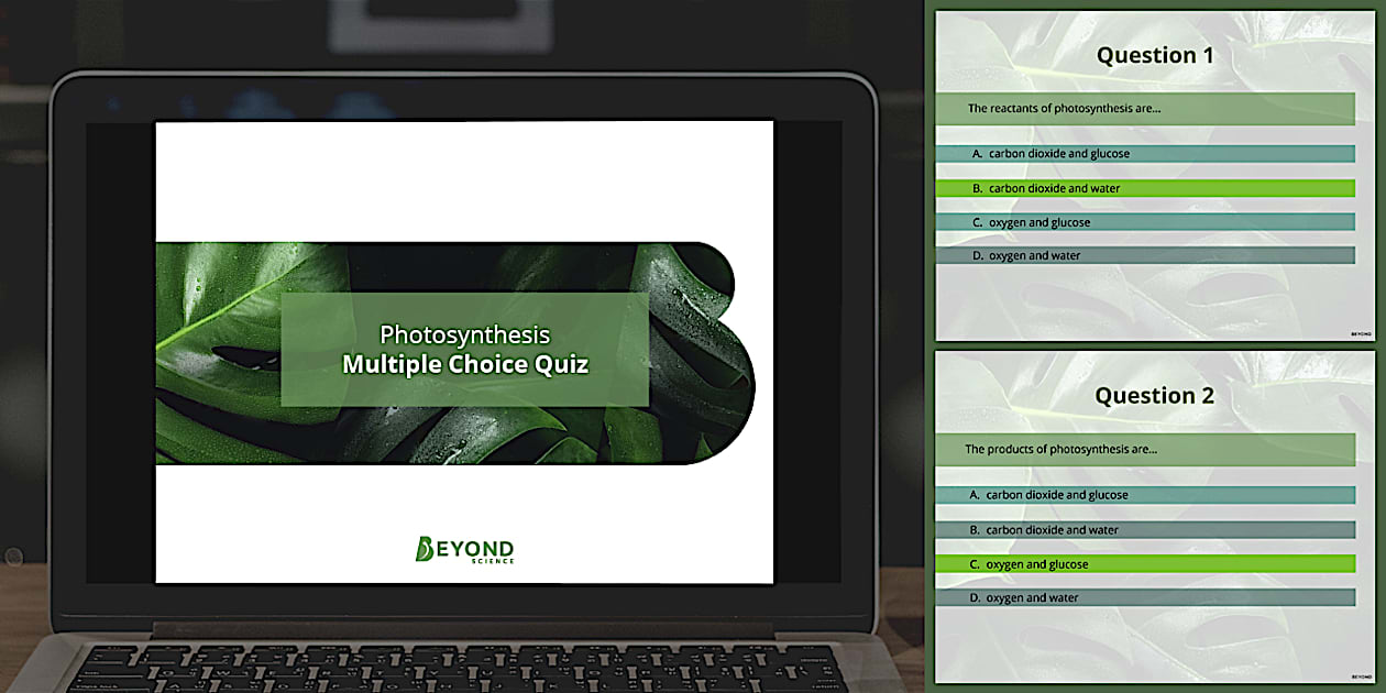 Photosynthesis Test Quiz PowerPoint | Biology | Beyond