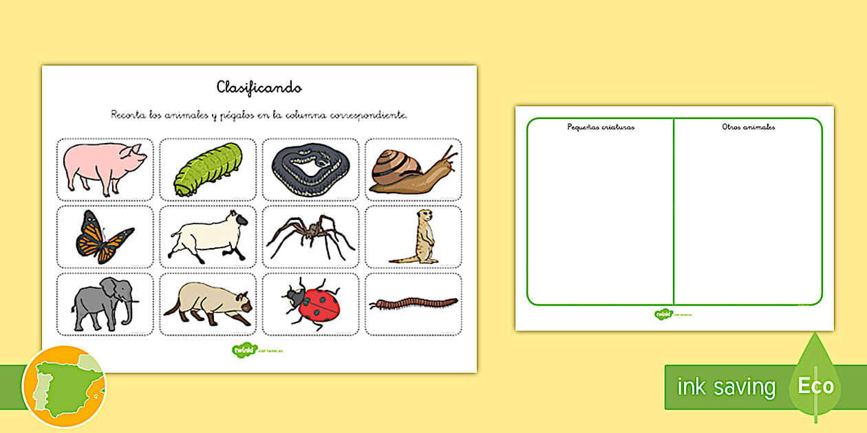 Ficha de actividad: Juego de clasificación (teacher made)