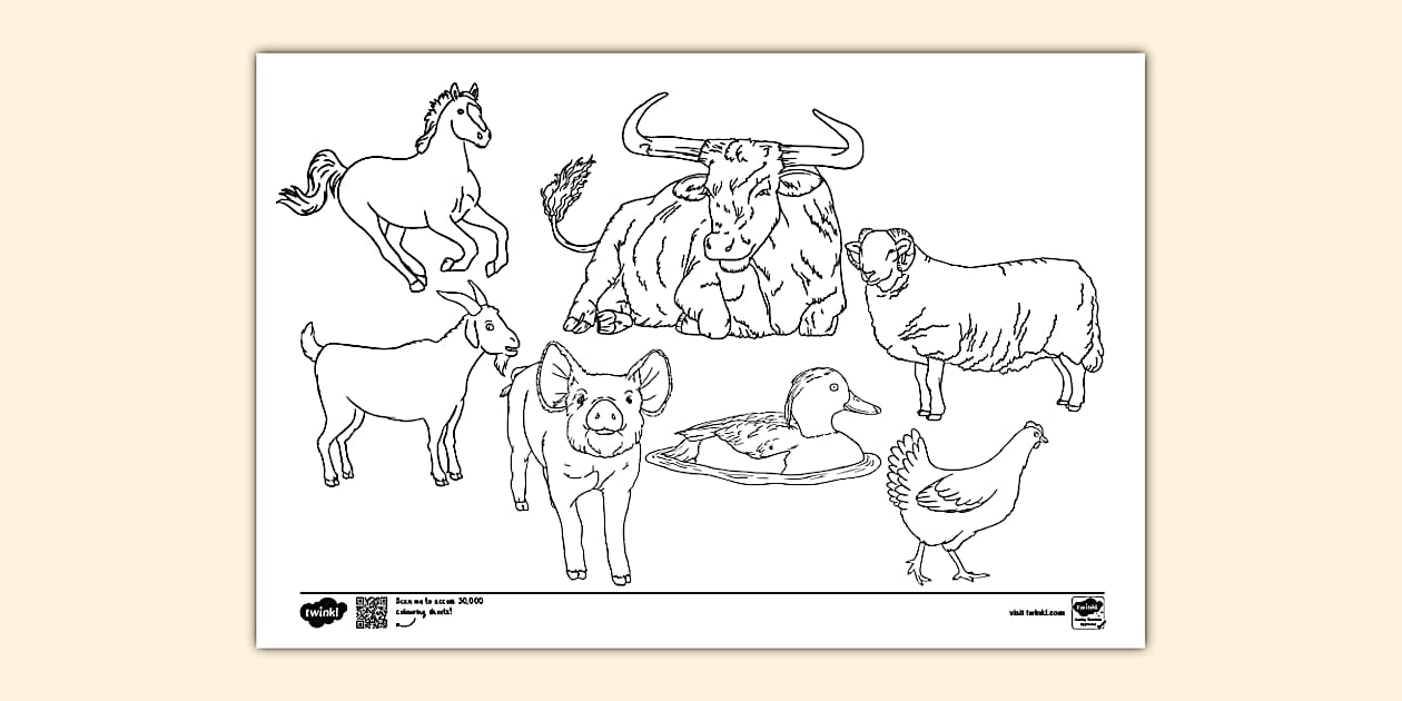 Farm Animals Colouring Sheet | Colouring Sheets - Twinkl