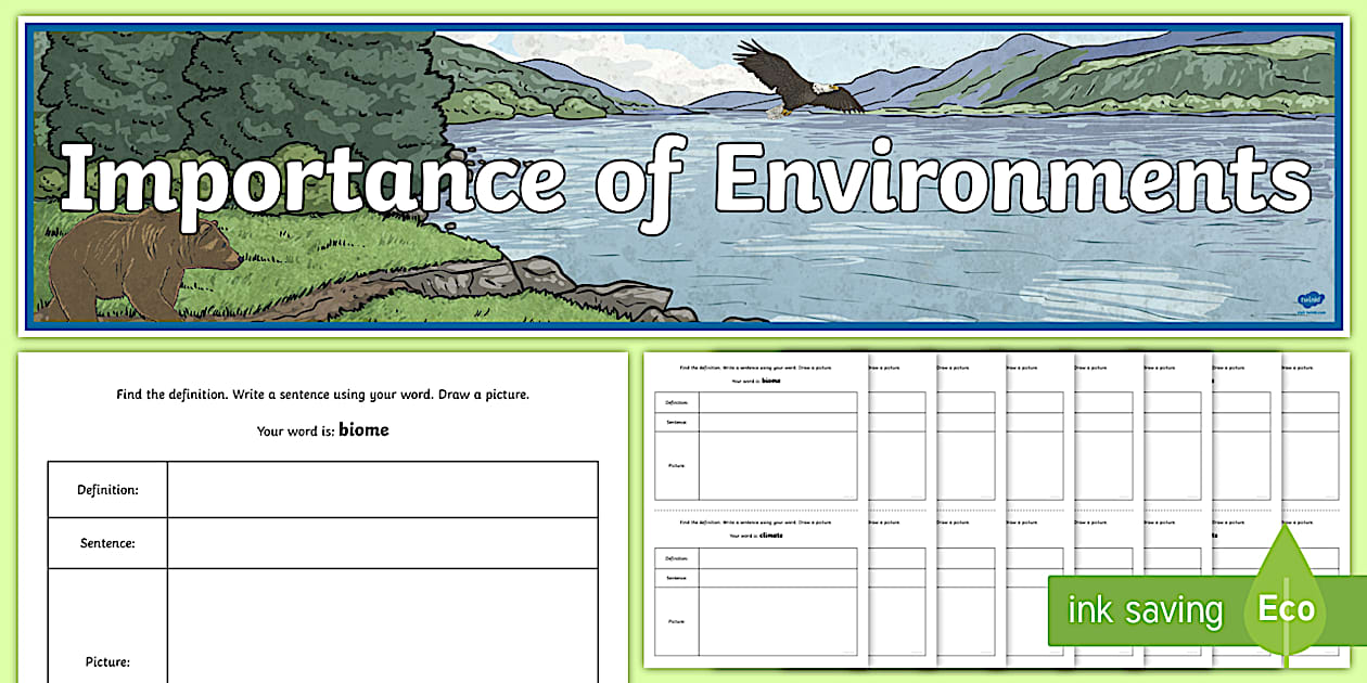 Environments Word Wall Activity Display Pack (teacher made)