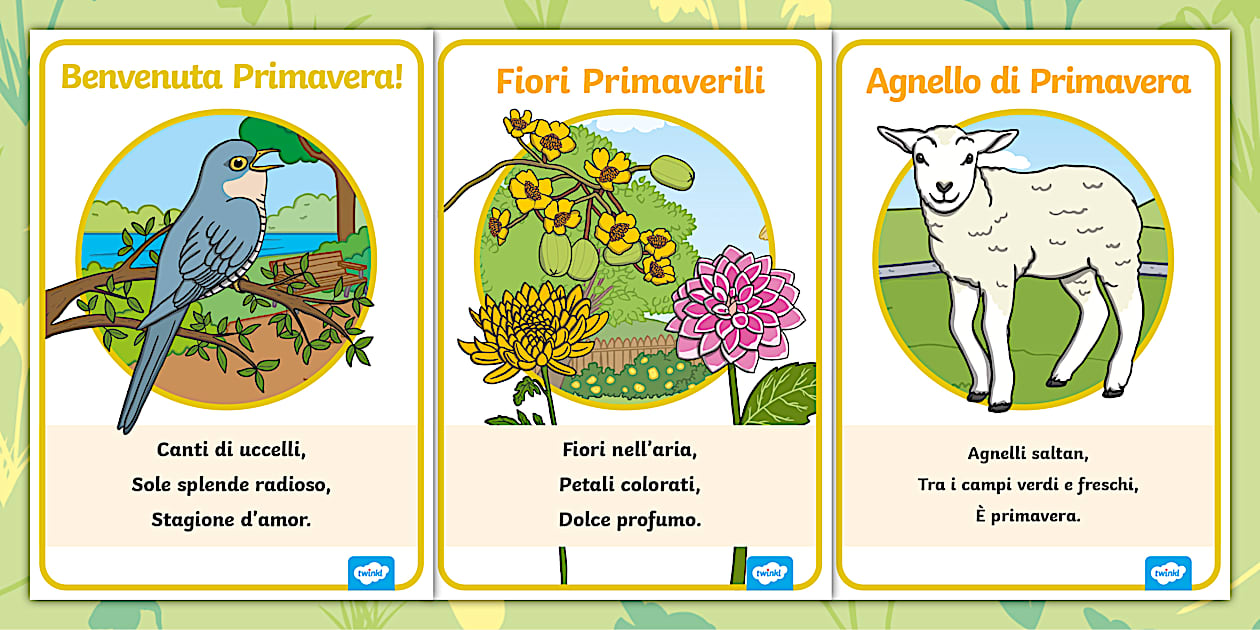 Poster Haiku di Primavera (l'enseignant a fait) - Twinkl