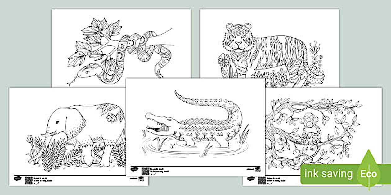 Jungle Animals Mindfulness Colouring Pages - KS1 Resources