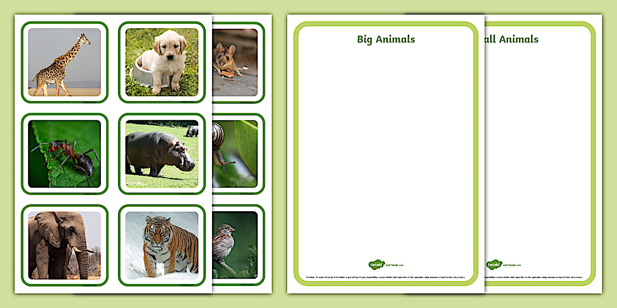 Big and Small Animals Photo Sorting Activity (teacher made)