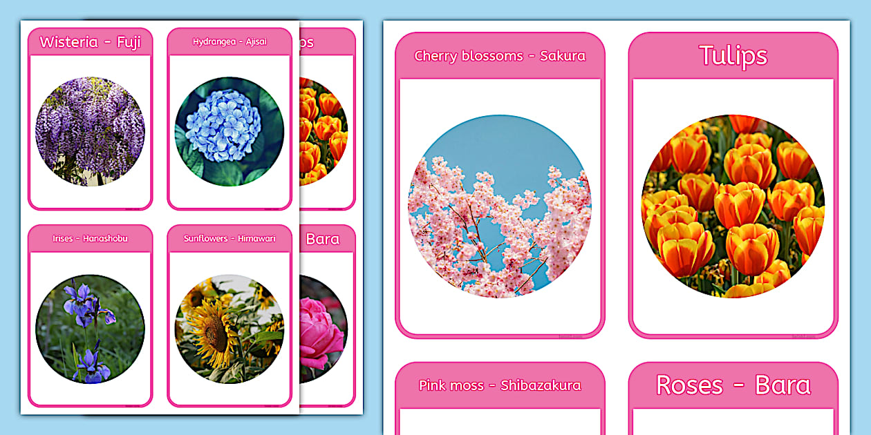 Plants and Flowers of Japan Photo Flashcards - Twinkl