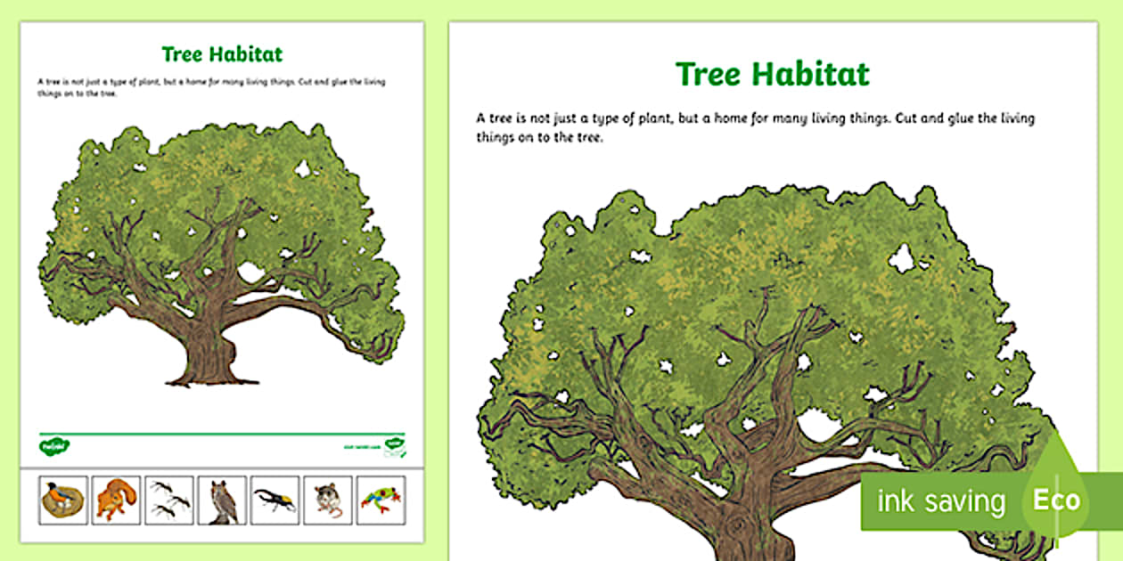 Tree Habitat Cut and Paste Worksheet | Twinkl USA - Twinkl