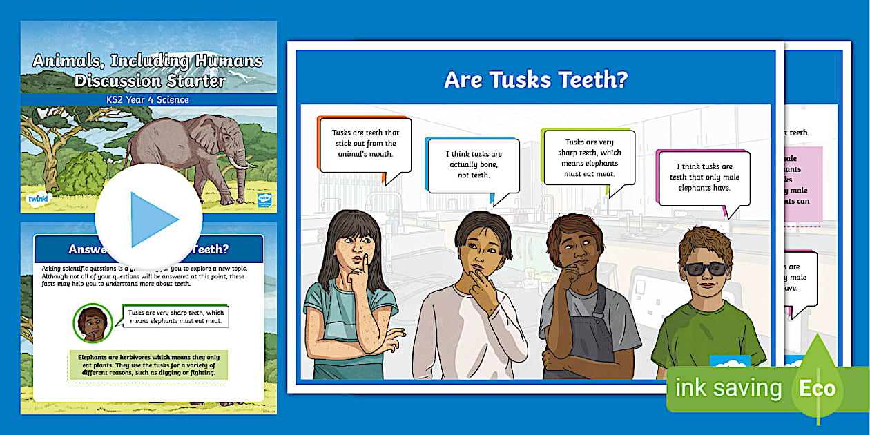Year 4 Animals Including Humans Science Discussion Starter