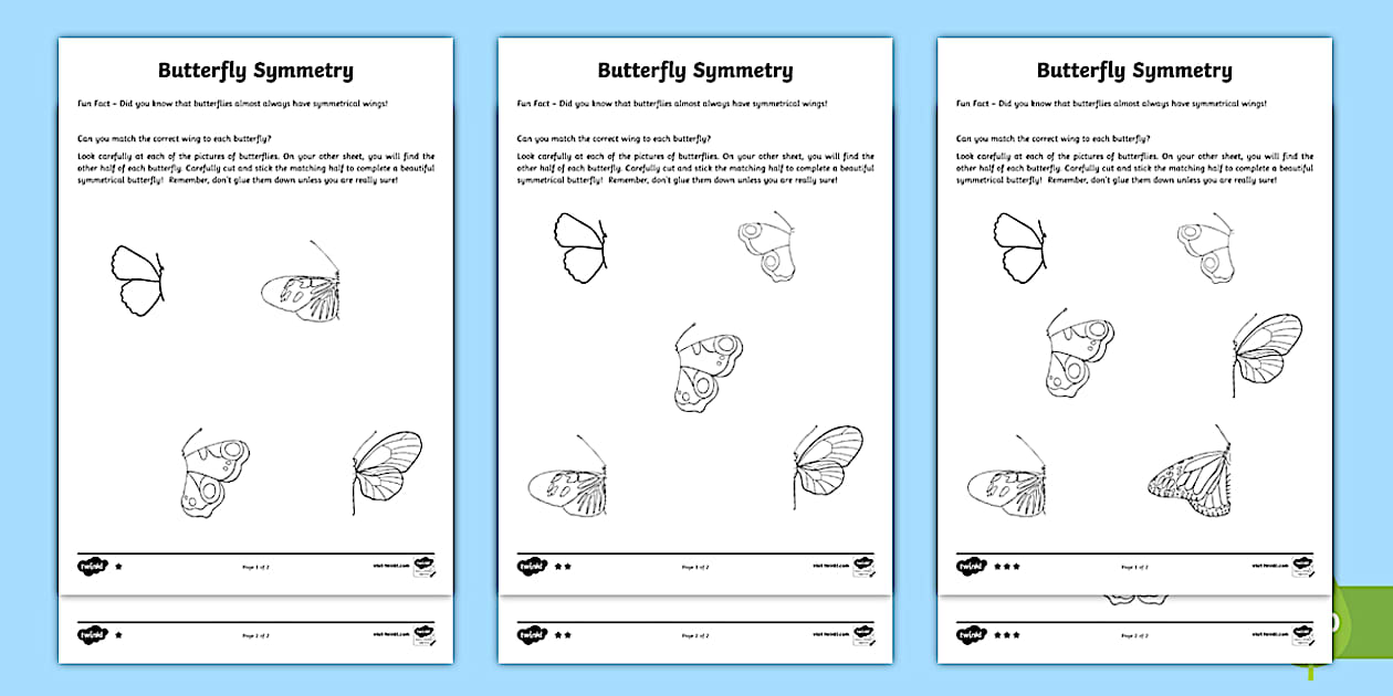CfE First Level Match the Symmetrical Butterfly Differentiated Worksheet
