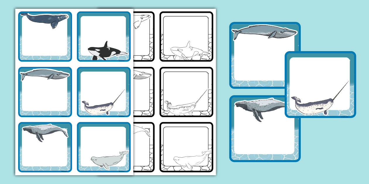 Whale Themed KS1 Peg Labels - Twinkl Primary - Twinkl