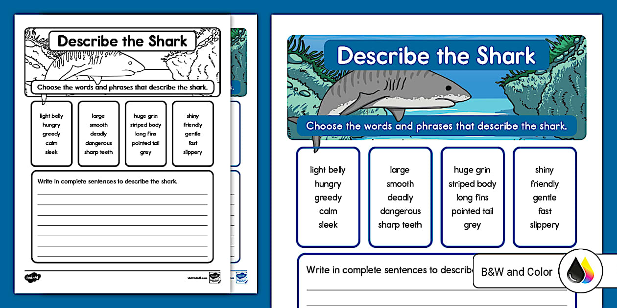 Describe the Shark Writing Activity Worksheet for Kids | Twinkl USA
