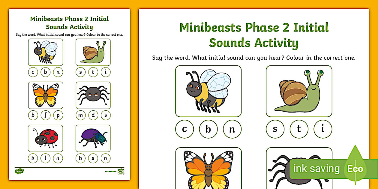 Minibeasts Phase 2 Initial Sounds Activity (teacher made)