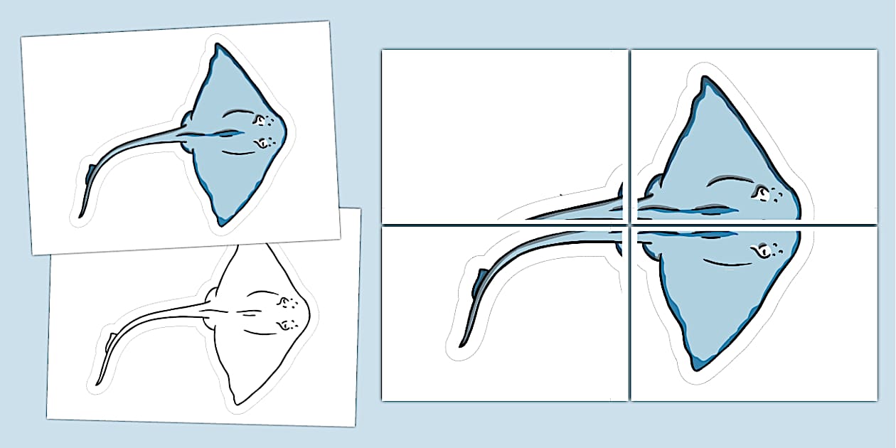 Stingray Cut-Out (Teacher-Made) - Twinkl