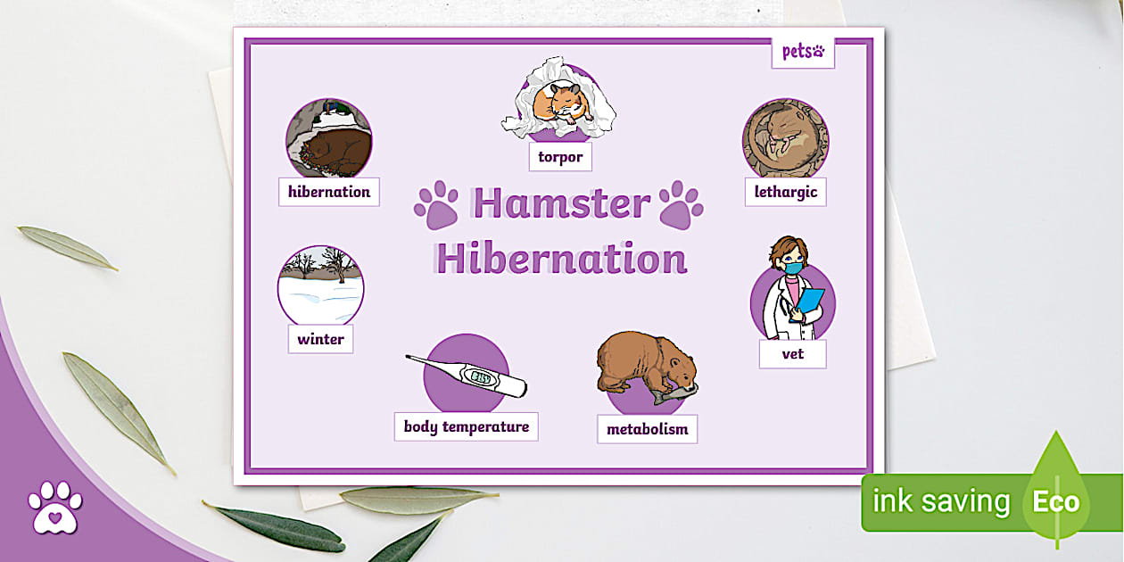 Hamster Hibernation Word Mat - Hamster Vocabulary - Pets