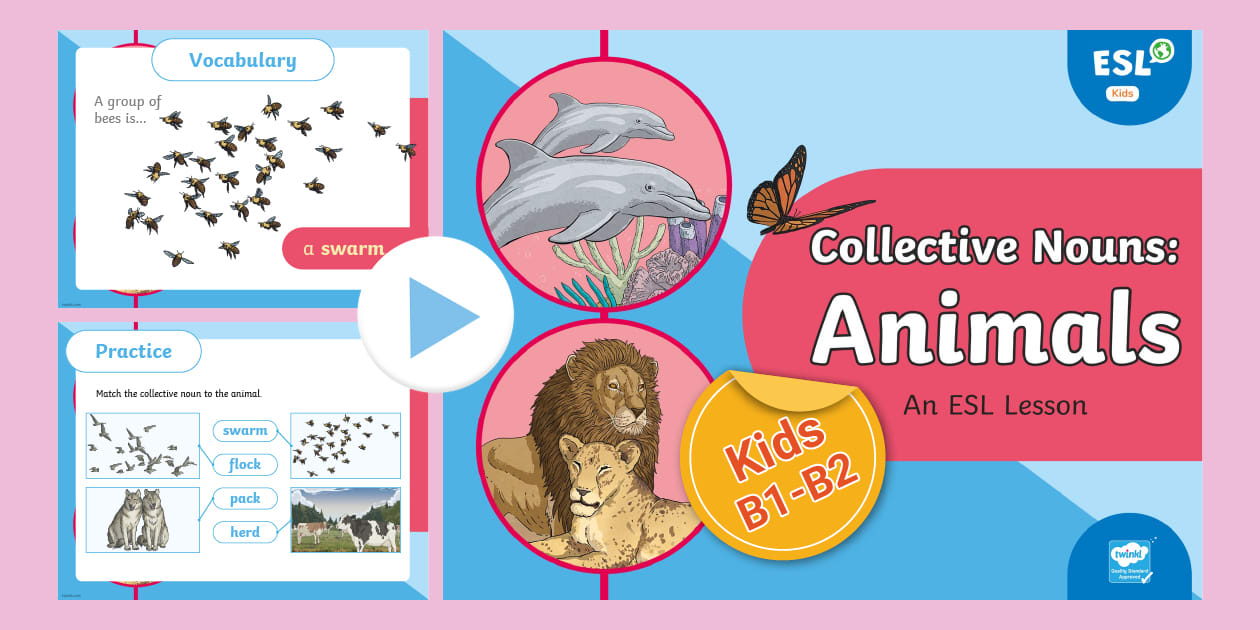 FREE! - ESL Collective Nouns: Animals for Kids - Twinkl