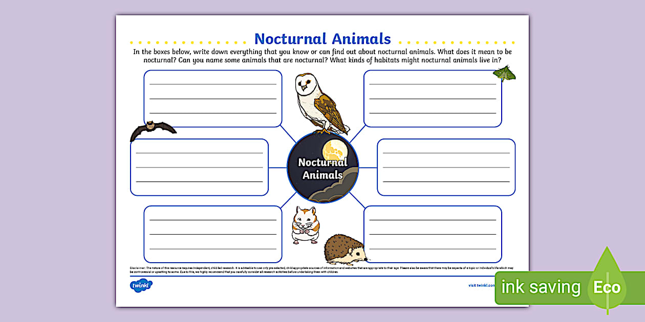 Nocturnal Animals Mind Map, Nocturnal (teacher made)
