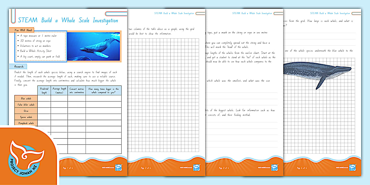 FREE! - STEAM Build a Whale Measurement Investigation
