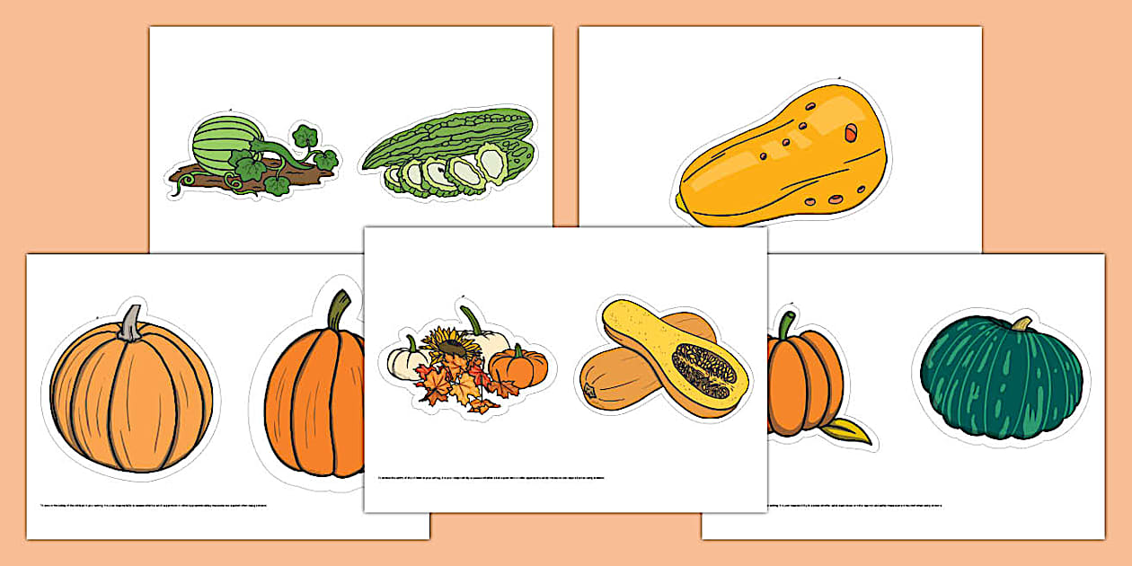 Pumpkin and Squashes Cut-Outs (Teacher-Made) - Twinkl
