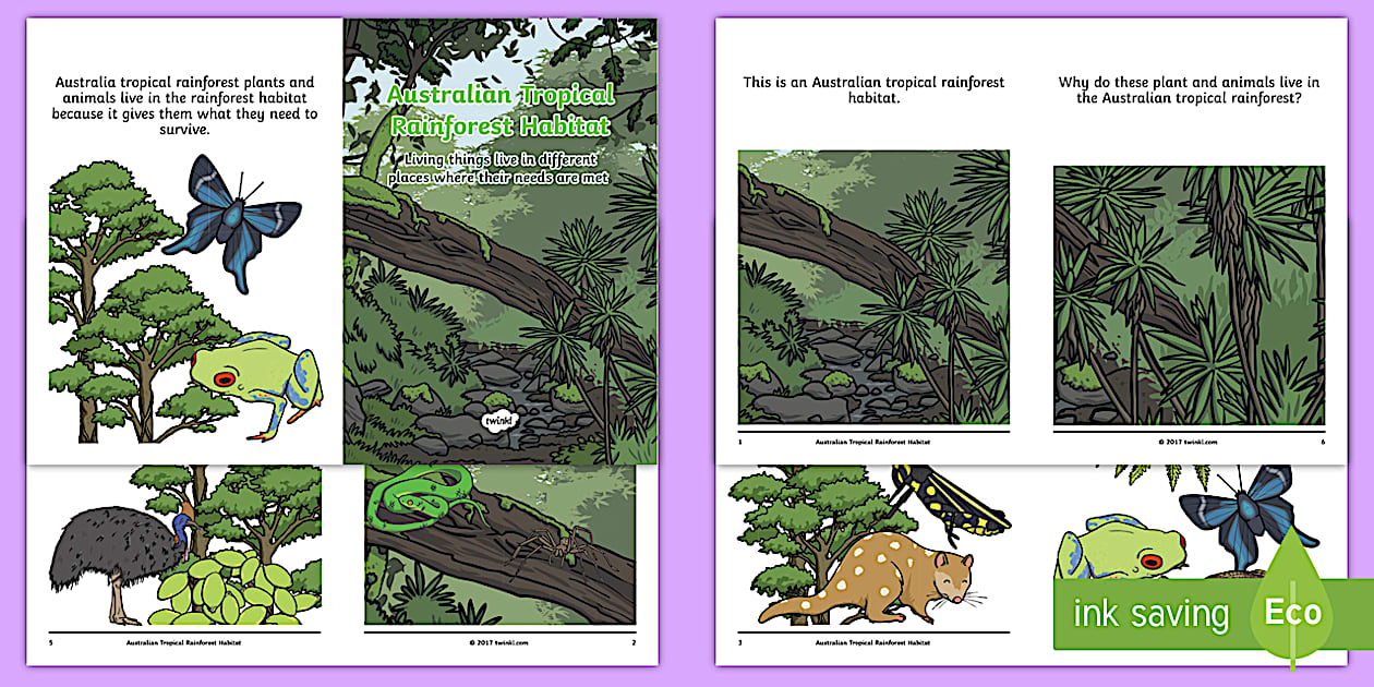 TAS Australian Tropical Rainforest Habitat Booklet - Twinkl