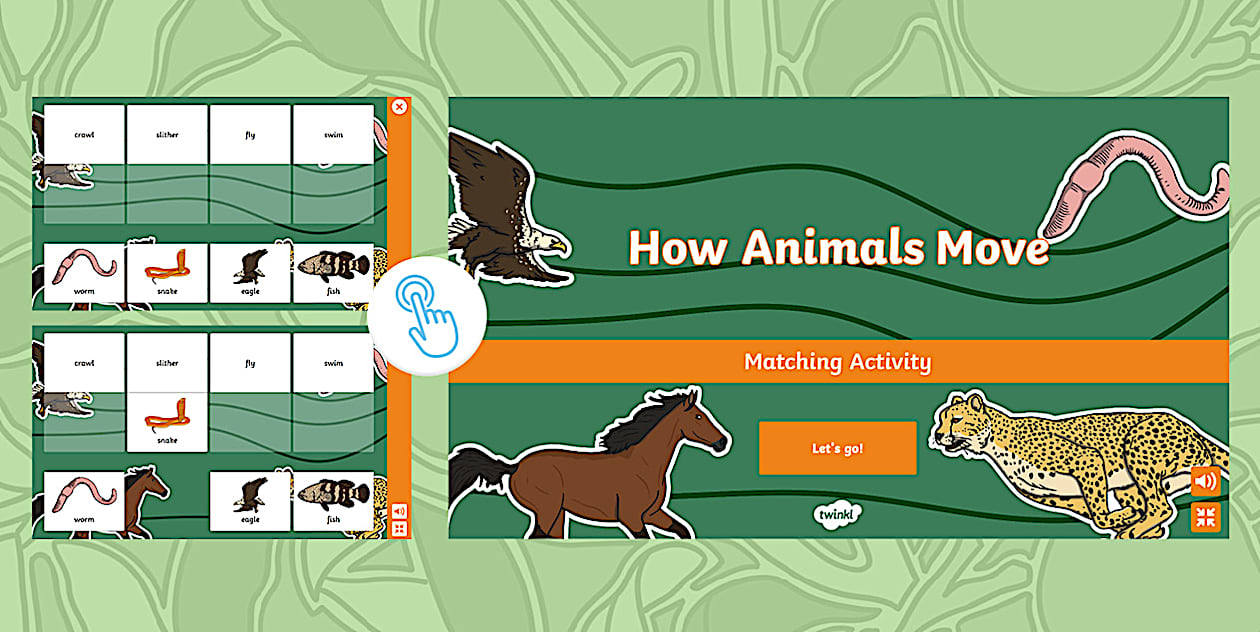 How Animals Move Interactive Matching Game - Twinkl