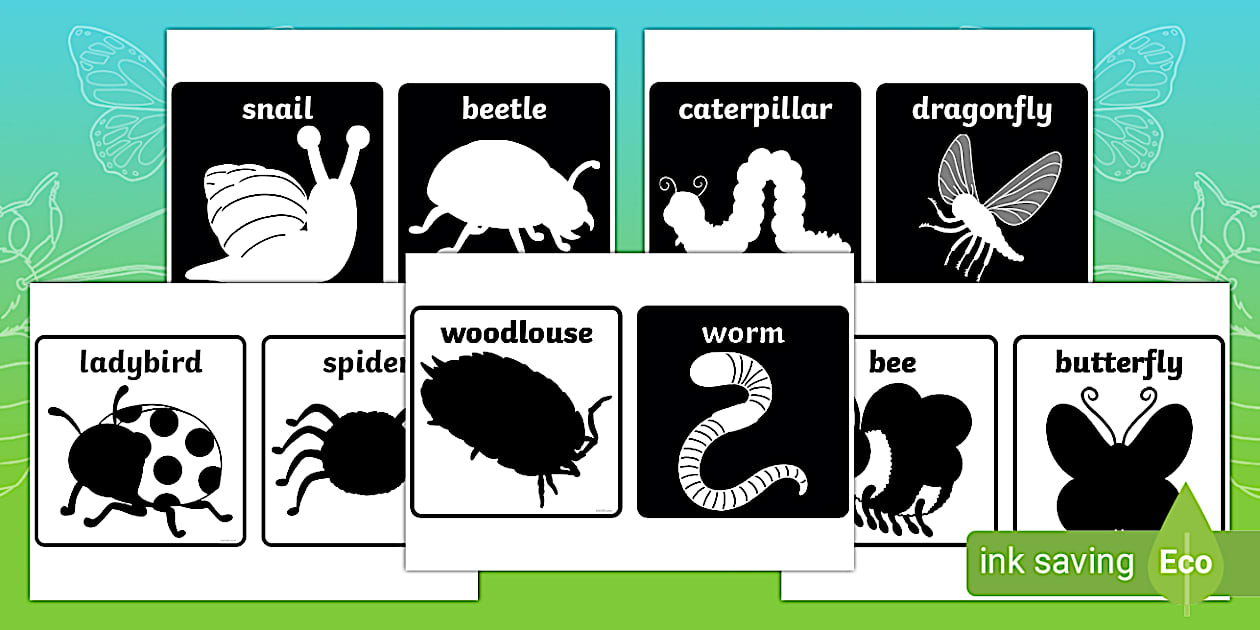 Black and White Flashcards: Minibeasts | Twinkl - Twinkl