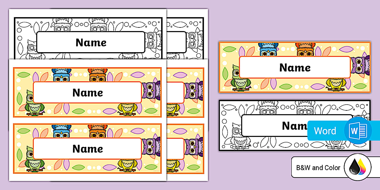 Editable Adorable Owl Theme Desk Nameplates (Teacher-Made)