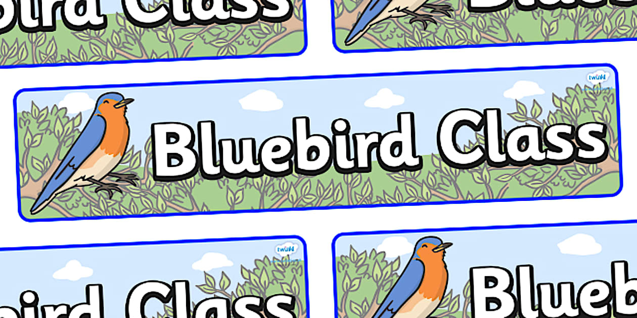 Bluebird Themed Classroom Display Banner (teacher made)
