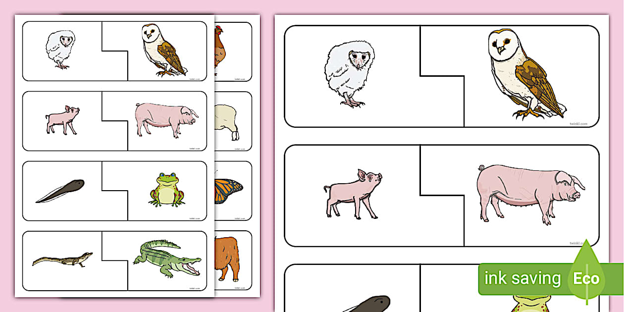 Animals and Their Young Matching Puzzle (Lehrer gemacht)