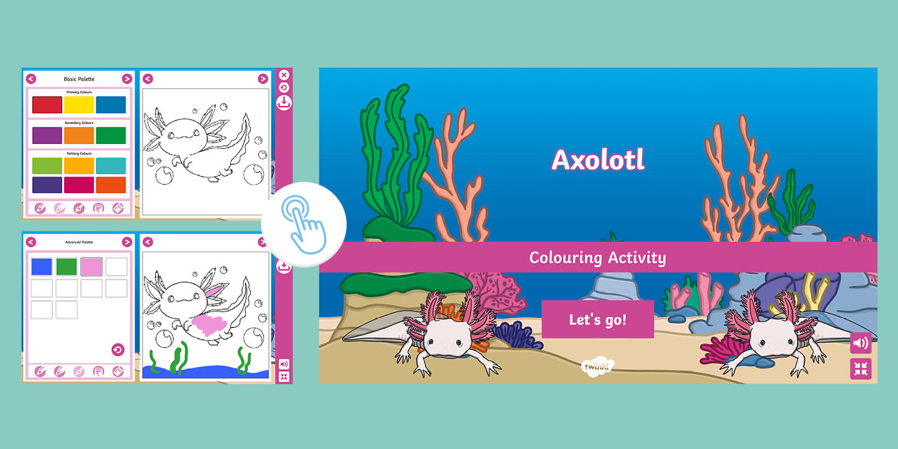 * NEW * Axolotl Interactive Colouring - Twinkl Go - Twinkl
