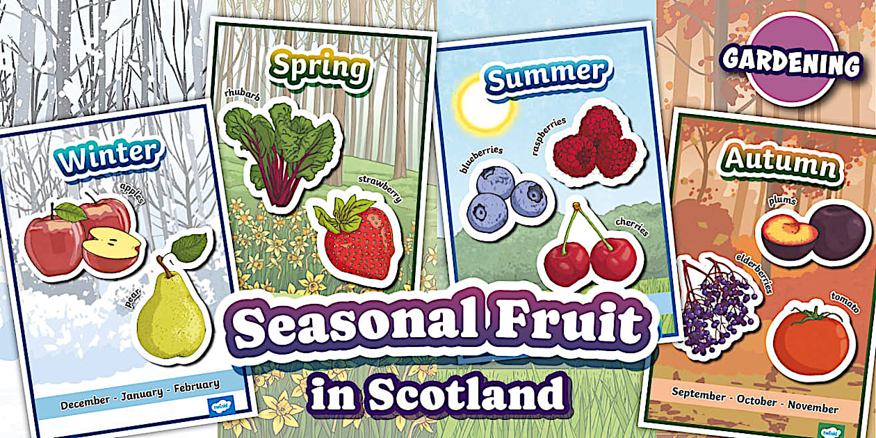 Seasonal Fruit in Scotland Display Posters