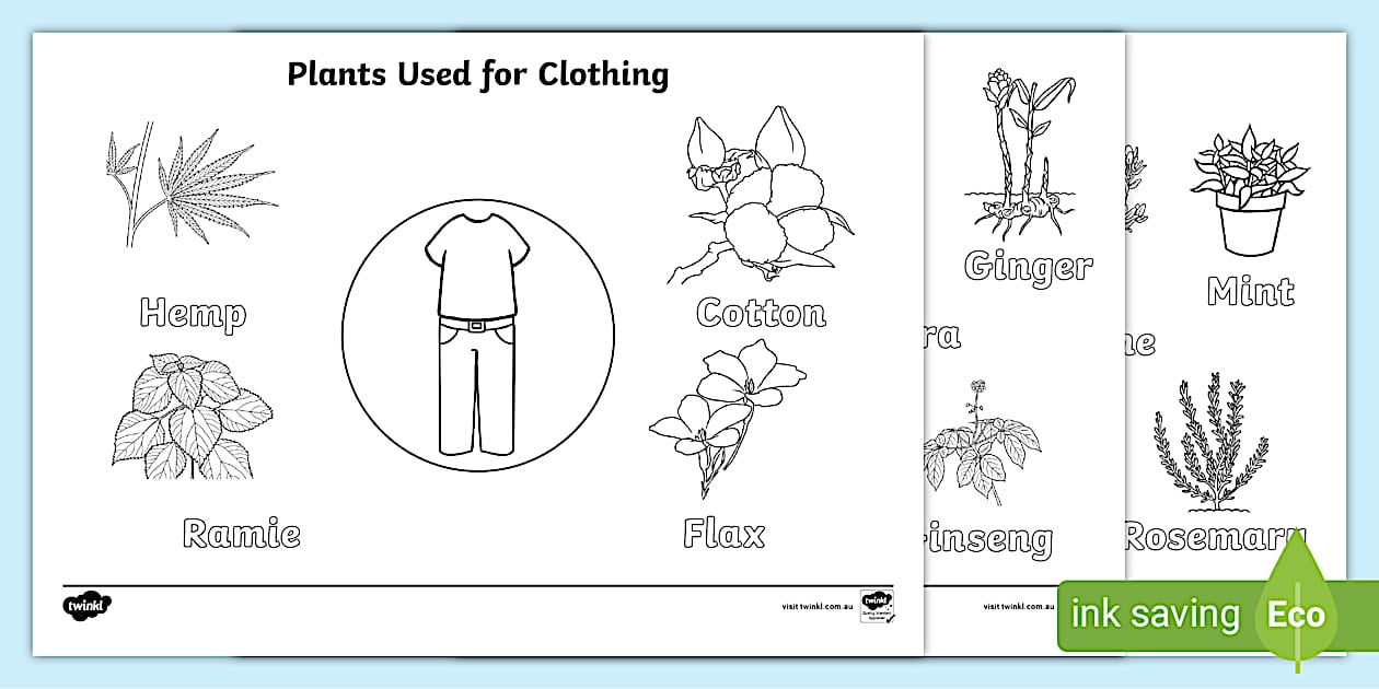 Plant Uses Colouring Pages