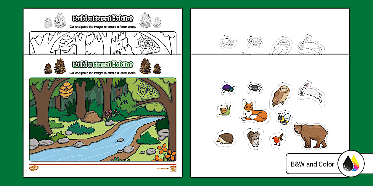 Build a Forest Habitat Cut and Paste Activity - Twinkl