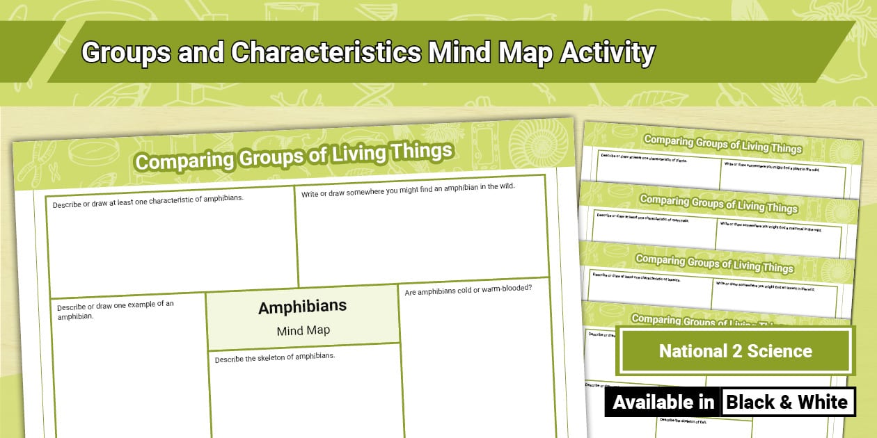Groups and Characteristics Mind Map Activity