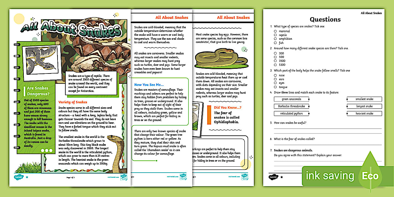 LKS2 All About Snakes Differentiated Reading Comprehension Activity