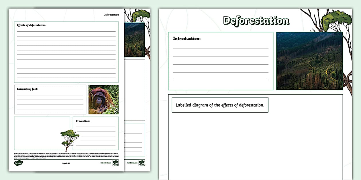Deforestation Non-Chronological Report Template - Twinkl