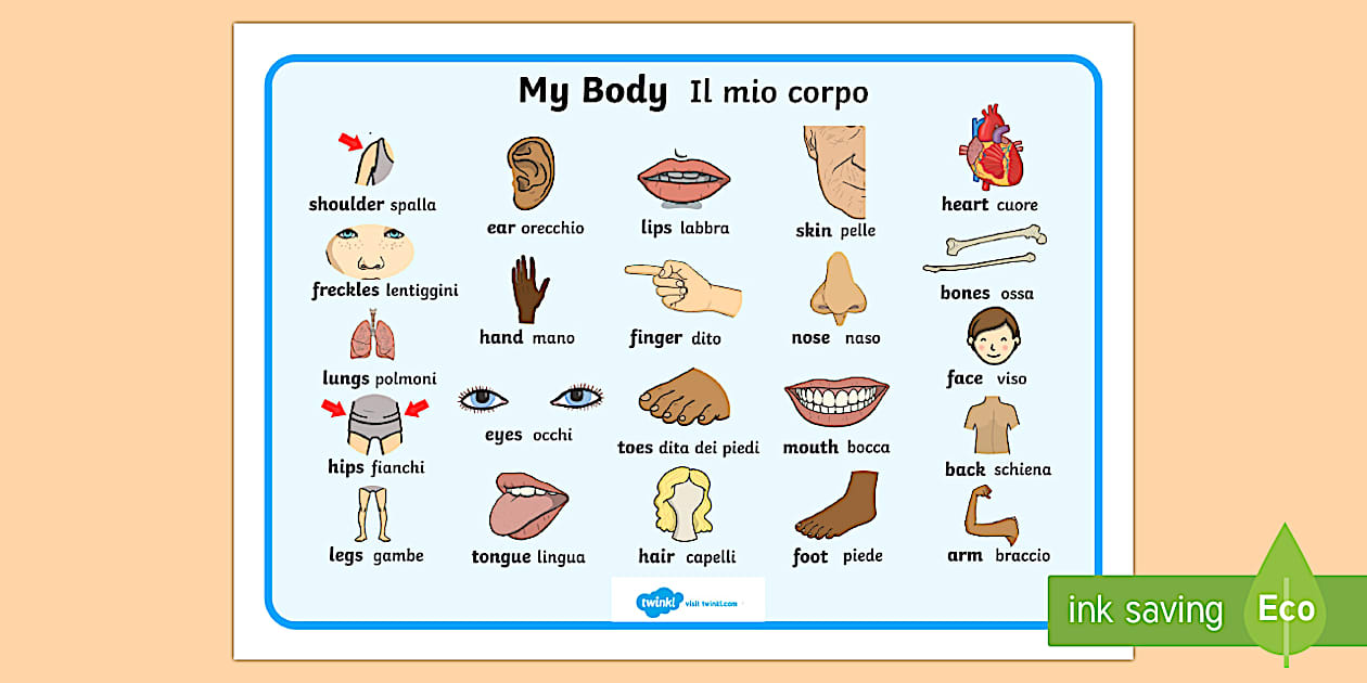 My Body Word Mat English/Italian (teacher made) - Twinkl
