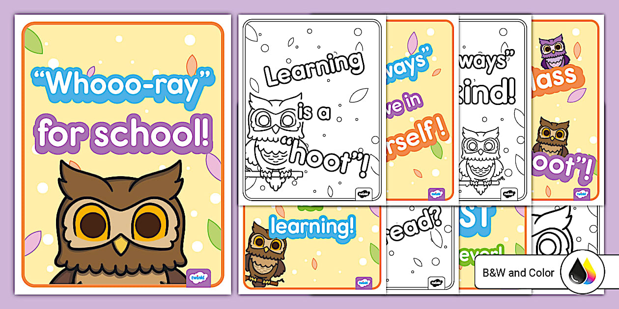 Adorable Owl Theme Posters (teacher made) - Twinkl