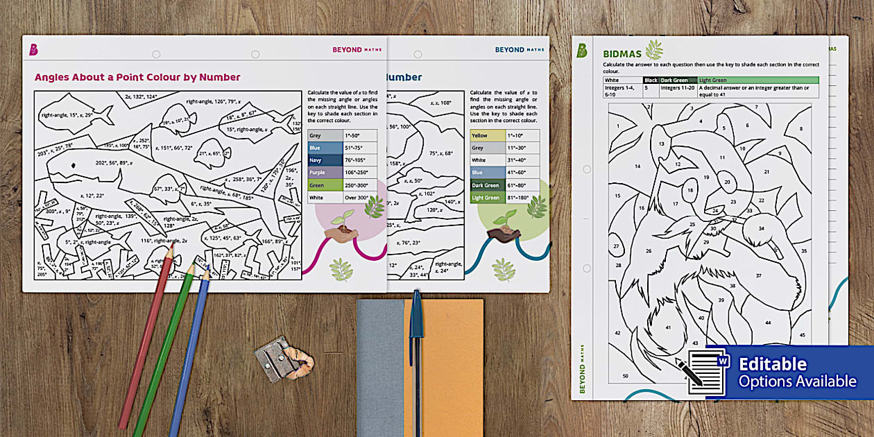 Endangered Species Maths Colour By Number Sheet - Twinkl